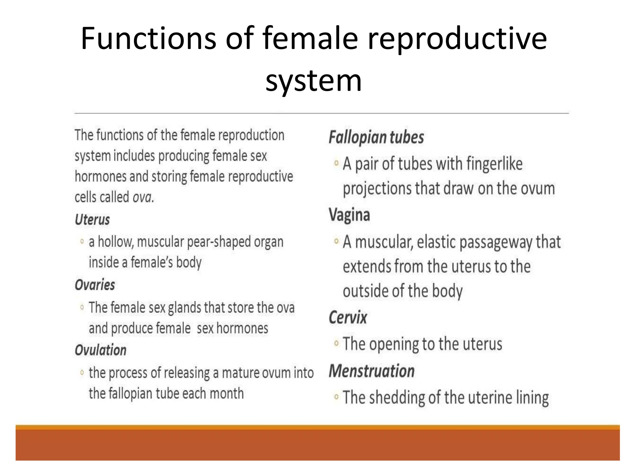 Reproductive system.pptx for nursing students | PPTX
