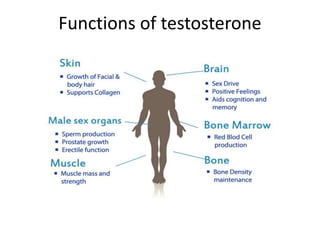 Reproductive system.pptx for nursing students | PPTX