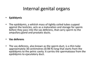 Reproductive system.pptx for nursing students | PPTX