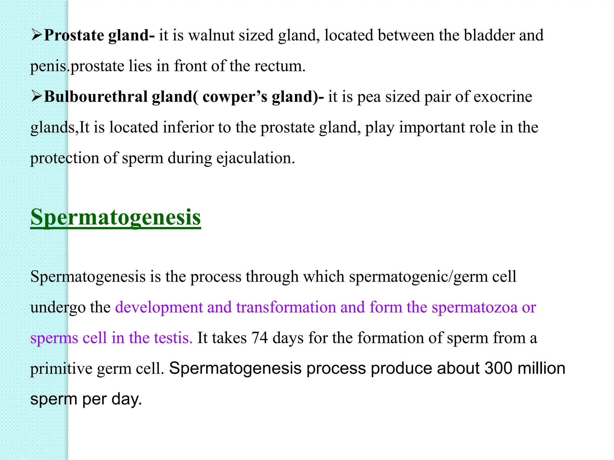 HUMAN REPRODUCTIVE SYSTEM REPRODUCTIVE SYSTEM | PPT