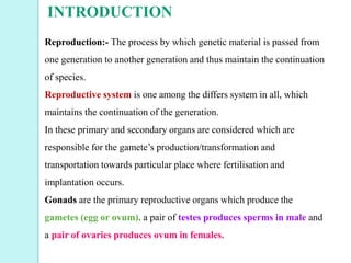 HUMAN REPRODUCTIVE SYSTEM REPRODUCTIVE SYSTEM | PPT
