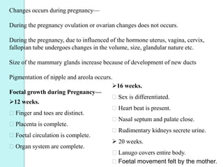 HUMAN REPRODUCTIVE SYSTEM REPRODUCTIVE SYSTEM | PPT