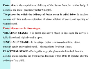 HUMAN REPRODUCTIVE SYSTEM REPRODUCTIVE SYSTEM | PPT
