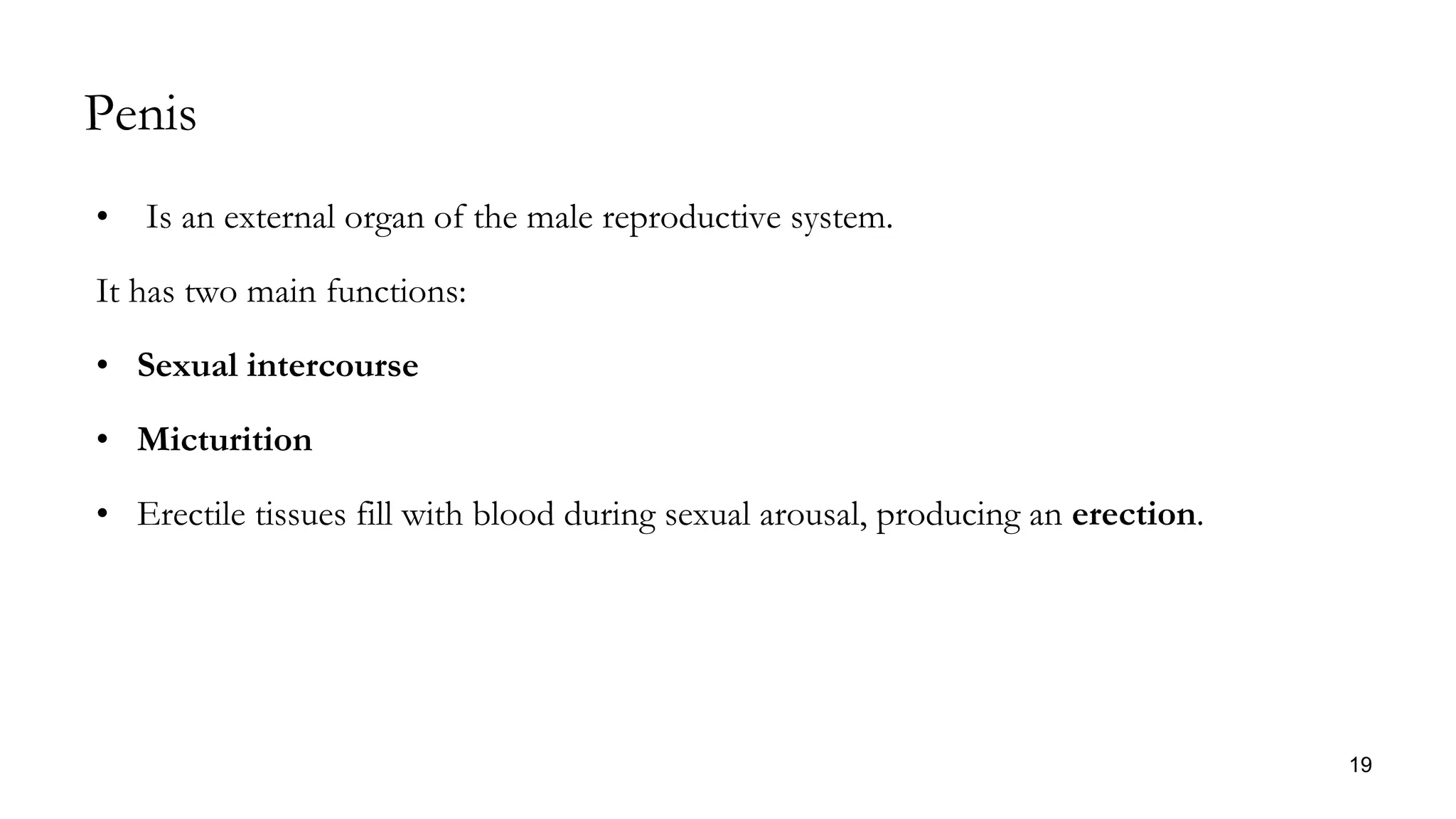 Reproductive system anatomy for medical laboratory .ppt