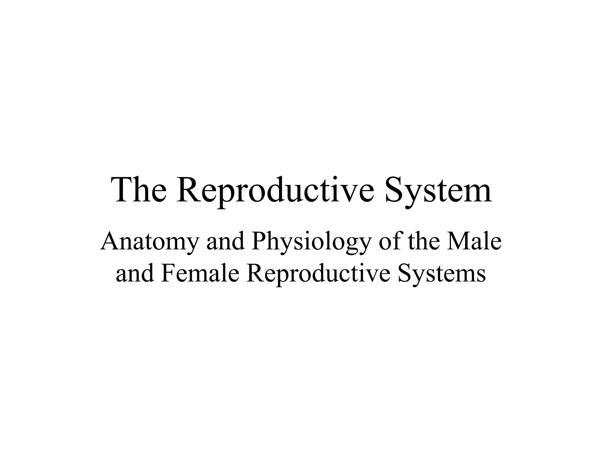 Reproductive System anatomy and phys.ppt