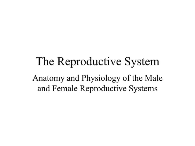 Reproductive System anatomy and phys.ppt