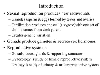 Reproductive System anatomy and phys.ppt