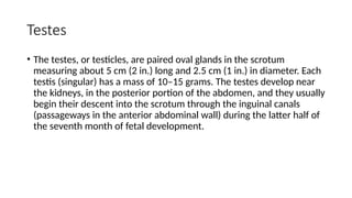 Reproductive system of human body .pptx