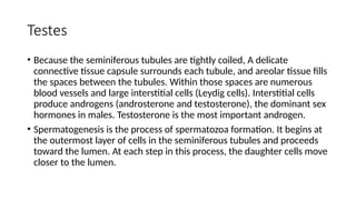 Reproductive system of human body .pptx