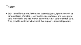 Reproductive system of human body .pptx