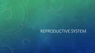 Junior High School Lesson on REPRODUCTIVE SYSTEM.pptx
