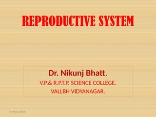 Reproductive Systemreproductive System Pptx