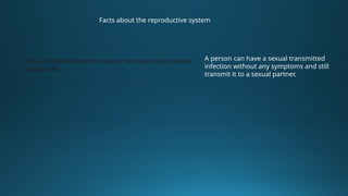 REPRODUCTIVE SYSTEM basic presentation biology. | PPTX