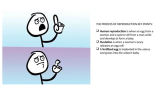 Short Overview of the Reproductive System.pptx
