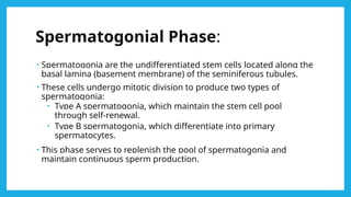 Anatomy and physiology of Reproductive system.pptx