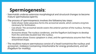 Anatomy and physiology of Reproductive system.pptx