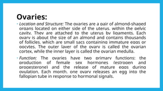 Anatomy and physiology of Reproductive system.pptx