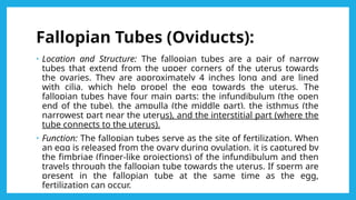 Anatomy and physiology of Reproductive system.pptx