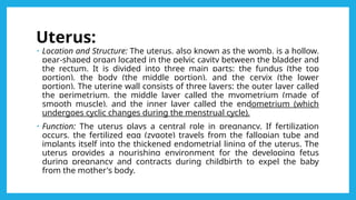 Anatomy and physiology of Reproductive system.pptx
