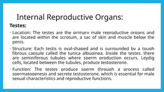 Anatomy and physiology of Reproductive system.pptx