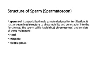 Reproductive System.pptx654467578975432256 | PPTX