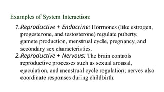 Reproductive System for Grade 10 SCIENCE | PPTX