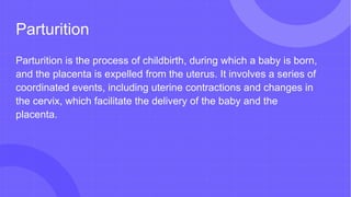 Reproductive System | PPT