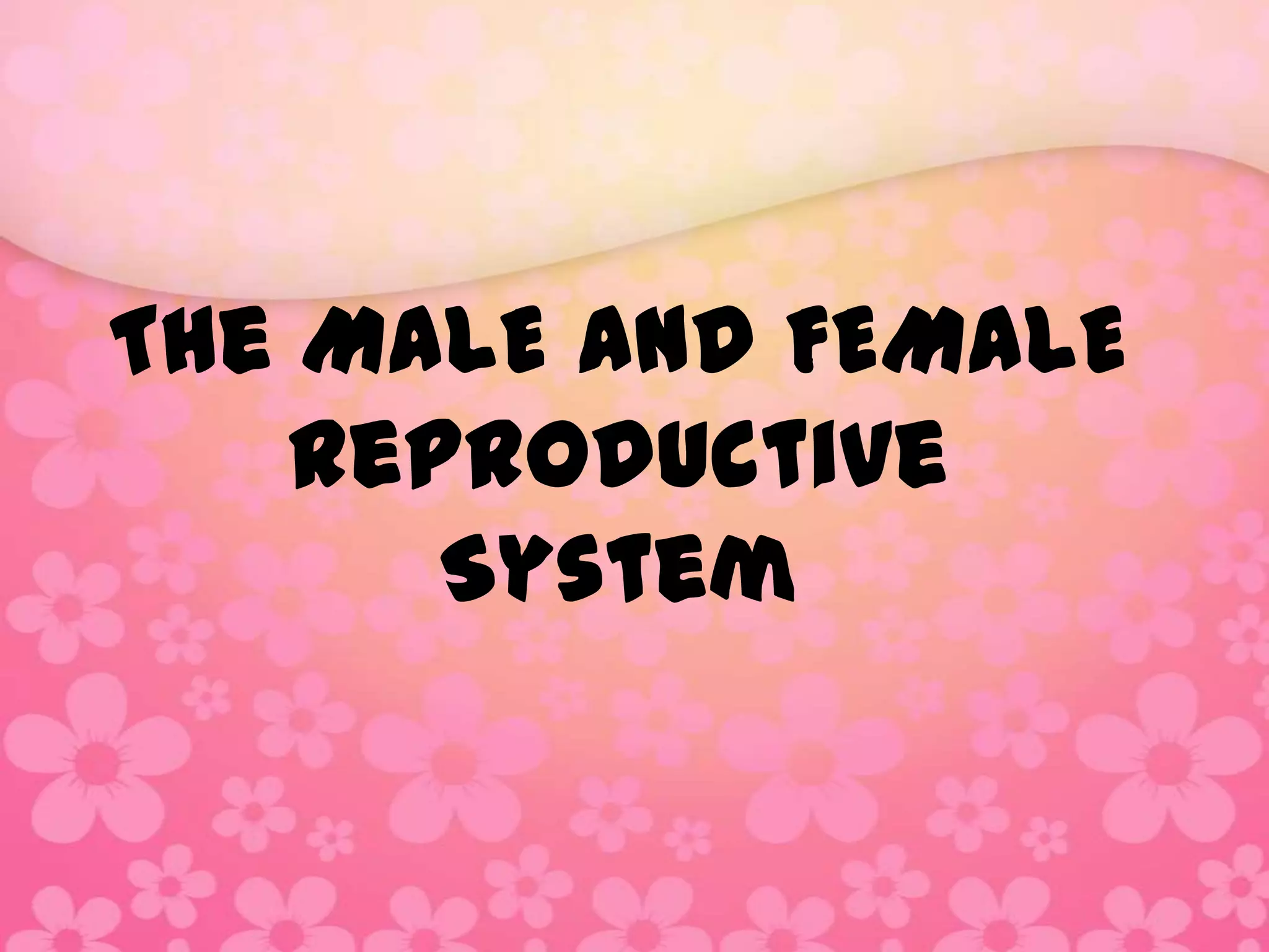 Reproductive system | PPT