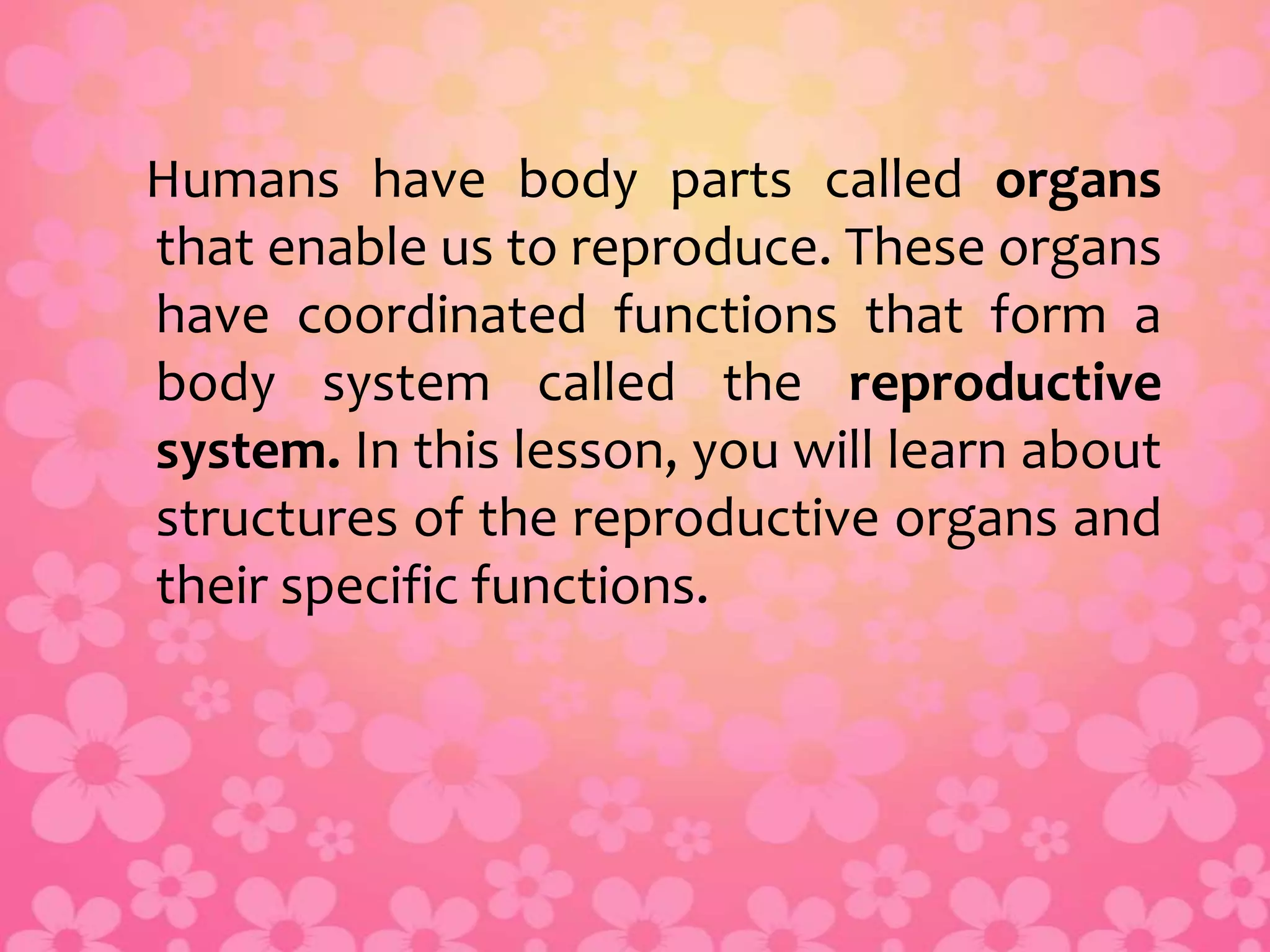 Reproductive system | PPT