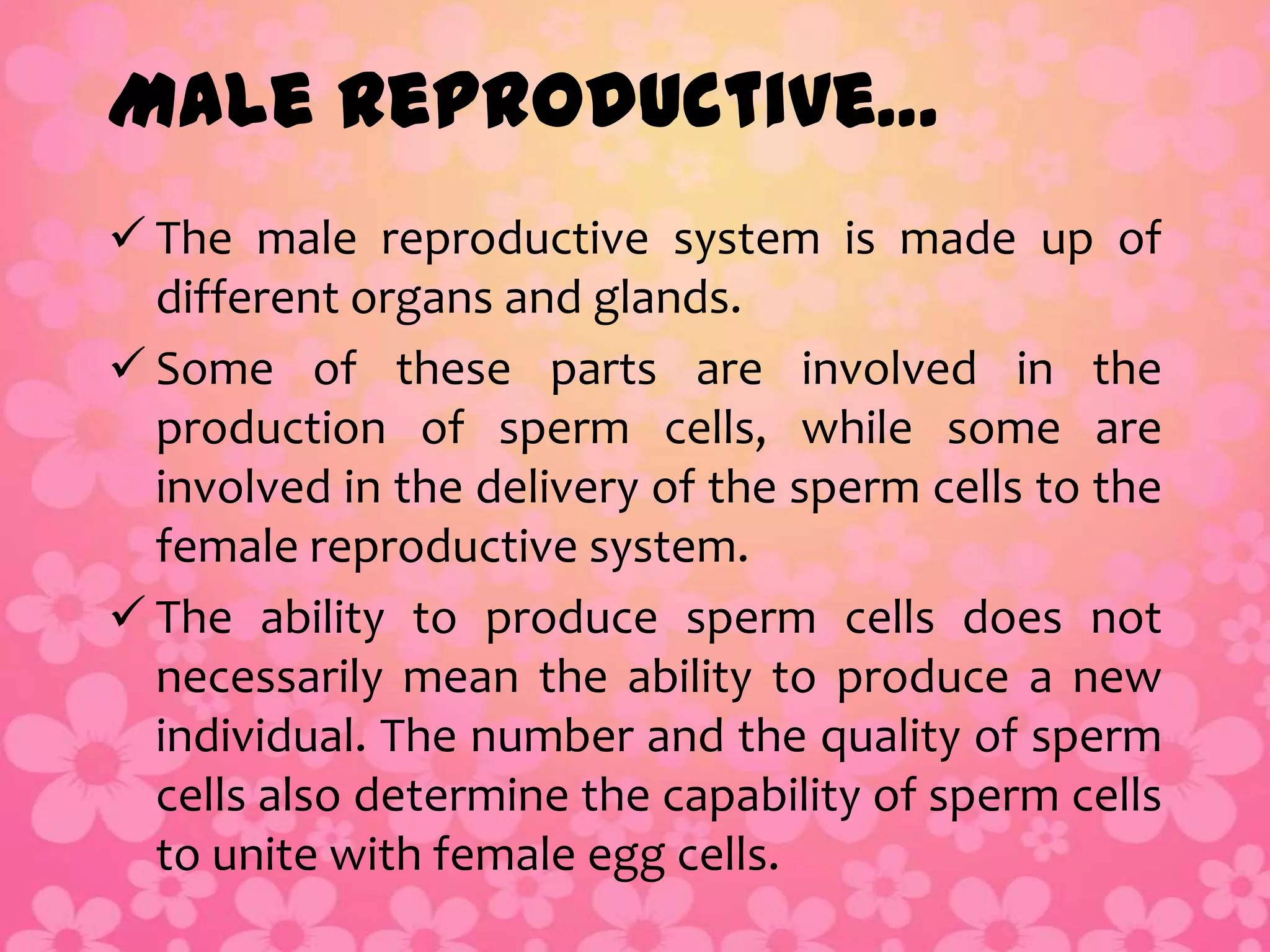 Reproductive system | PPT