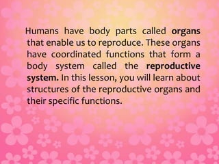 Reproductive system | PPT