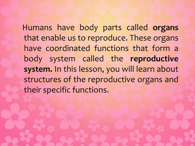 Reproductive system | PPT