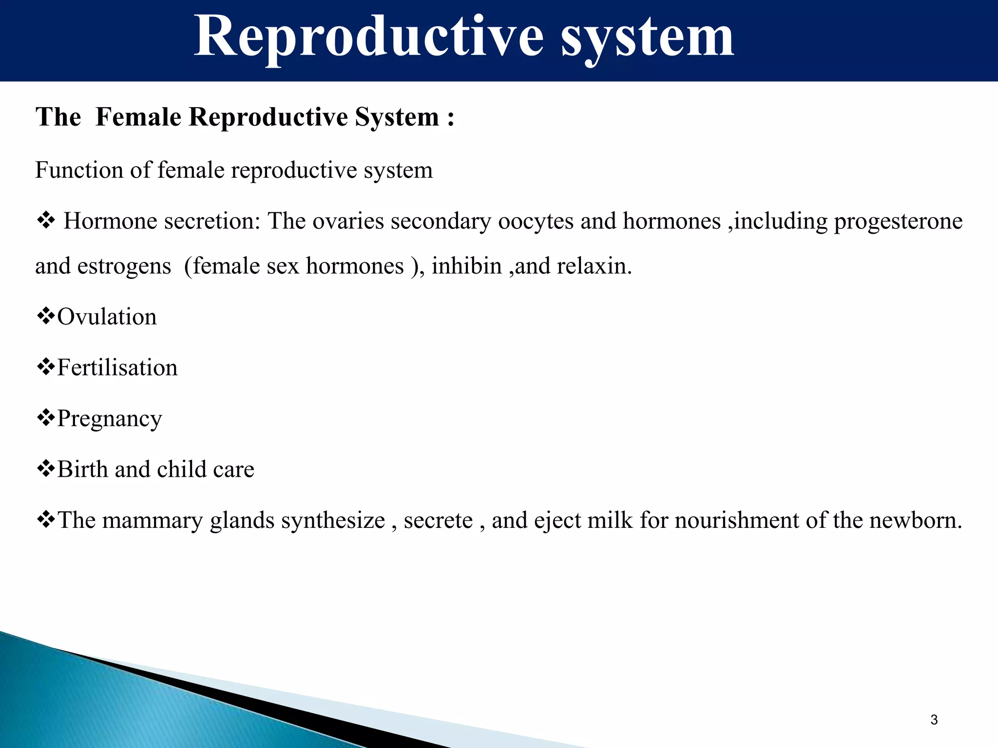 Female Reproductive system Slideshare | PPT