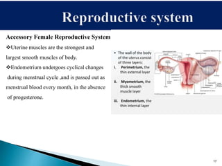 Female Reproductive system Slideshare | PPT