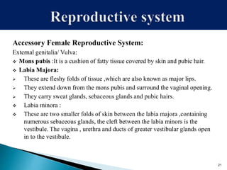 Female Reproductive system Slideshare | PPT