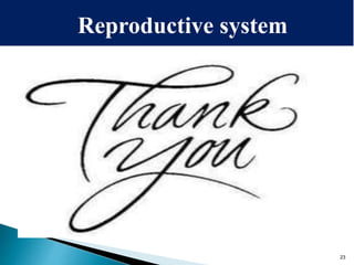 Female Reproductive system Slideshare | PPT