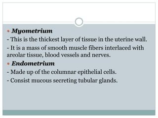 Reproductive system 2 | PPTX