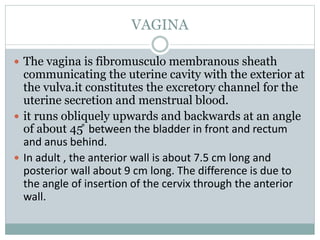 Reproductive system 2 | PPTX