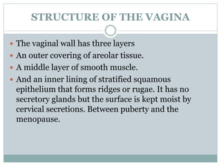 Reproductive system 2 | PPTX