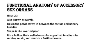 REPRODUCTIVE SYSTEM (2).pdf