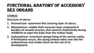 REPRODUCTIVE SYSTEM (2).pdf