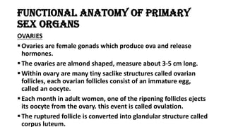 REPRODUCTIVE SYSTEM (2).pdf
