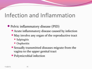 Reproductive system 2010 | PPT