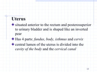 Female Reproductive system Anatomy and physiology.ppt