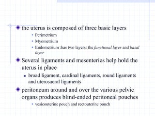 Female Reproductive system Anatomy and physiology.ppt