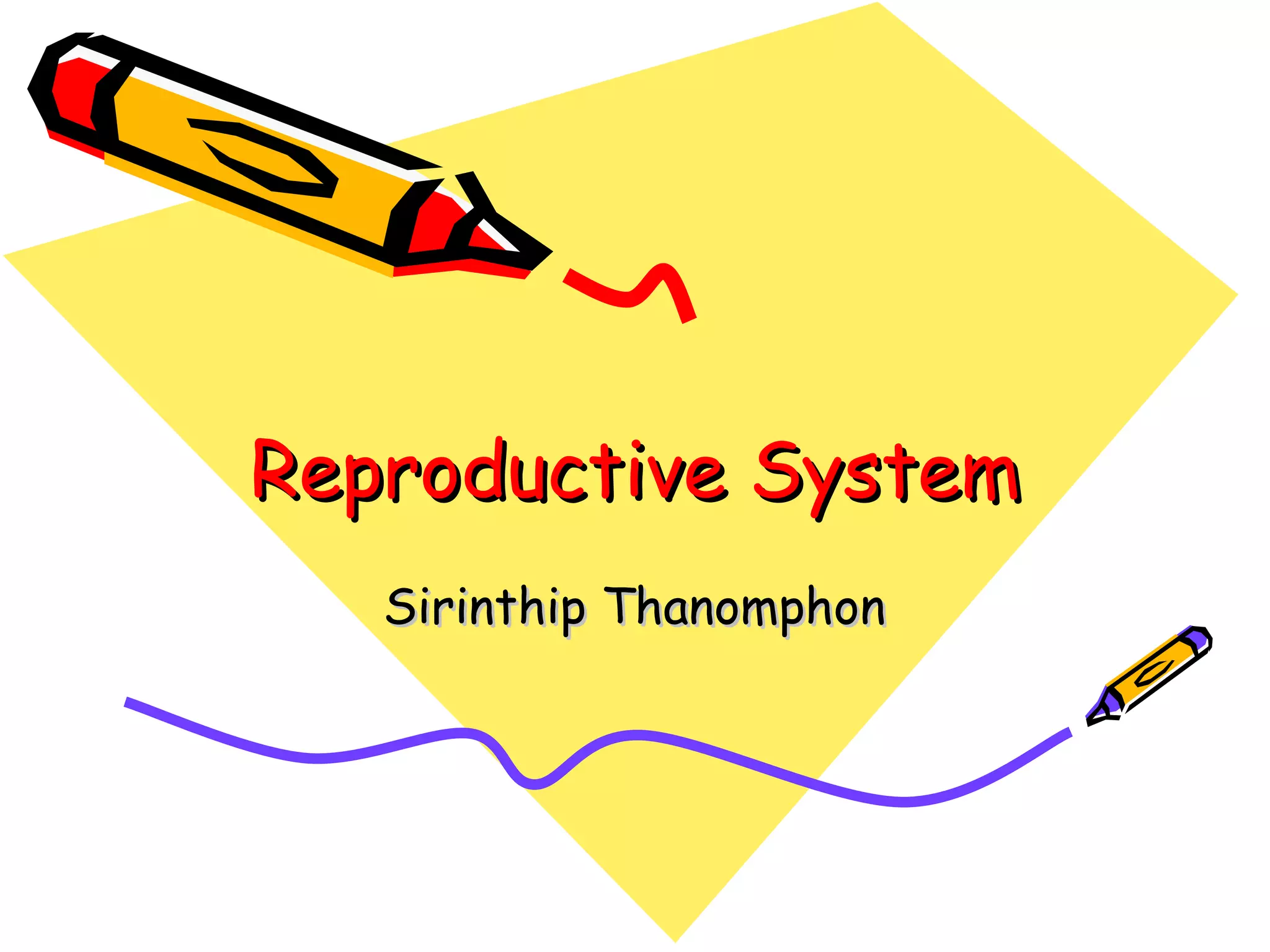 Reproductive system#2persentation | PPT