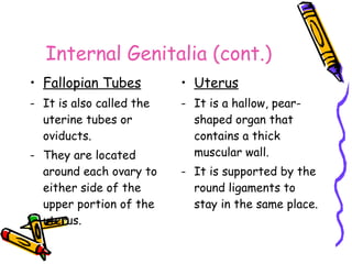 Reproductive system#2persentation | PPT