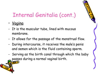 Reproductive system#2persentation | PPT
