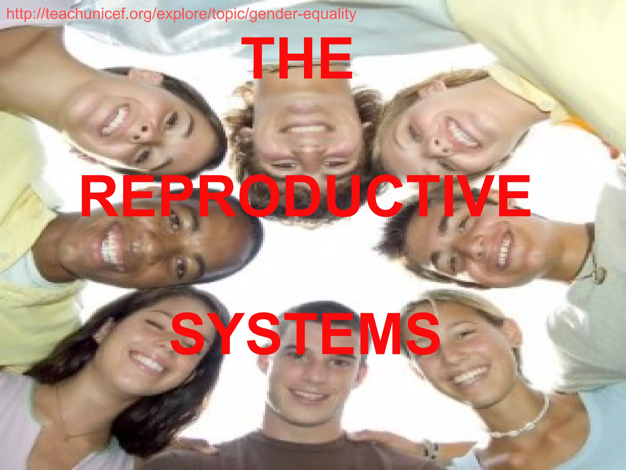 Reproductive system 6º grade | PPT