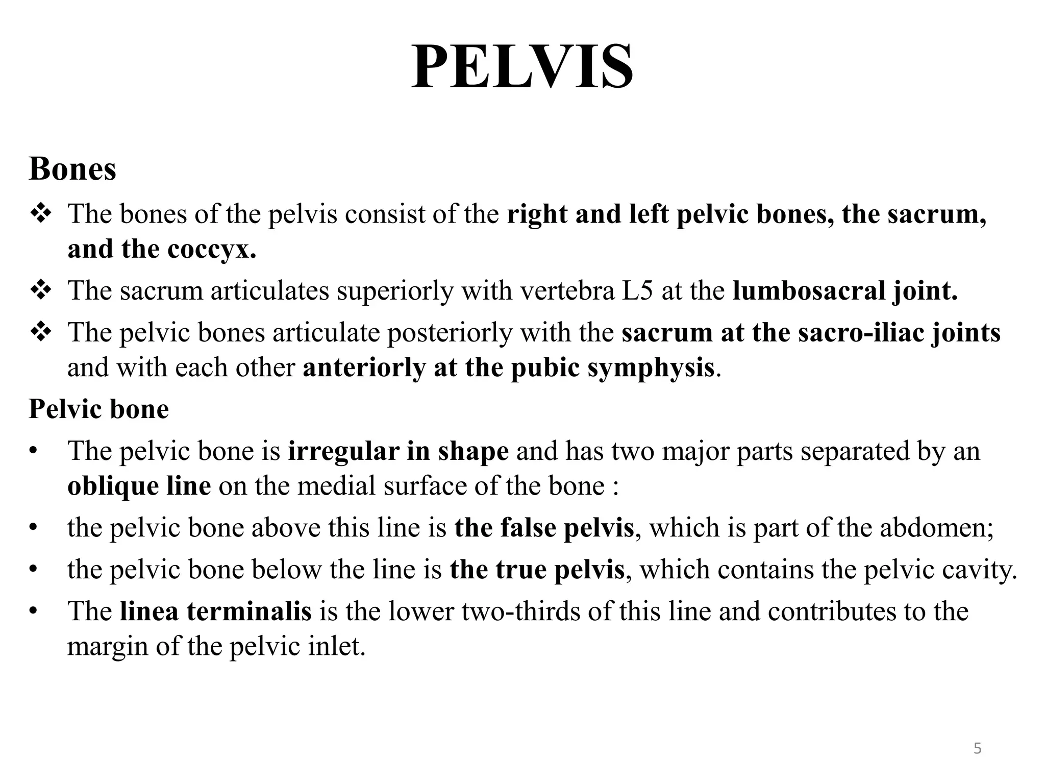 REproductive system anat.pptx